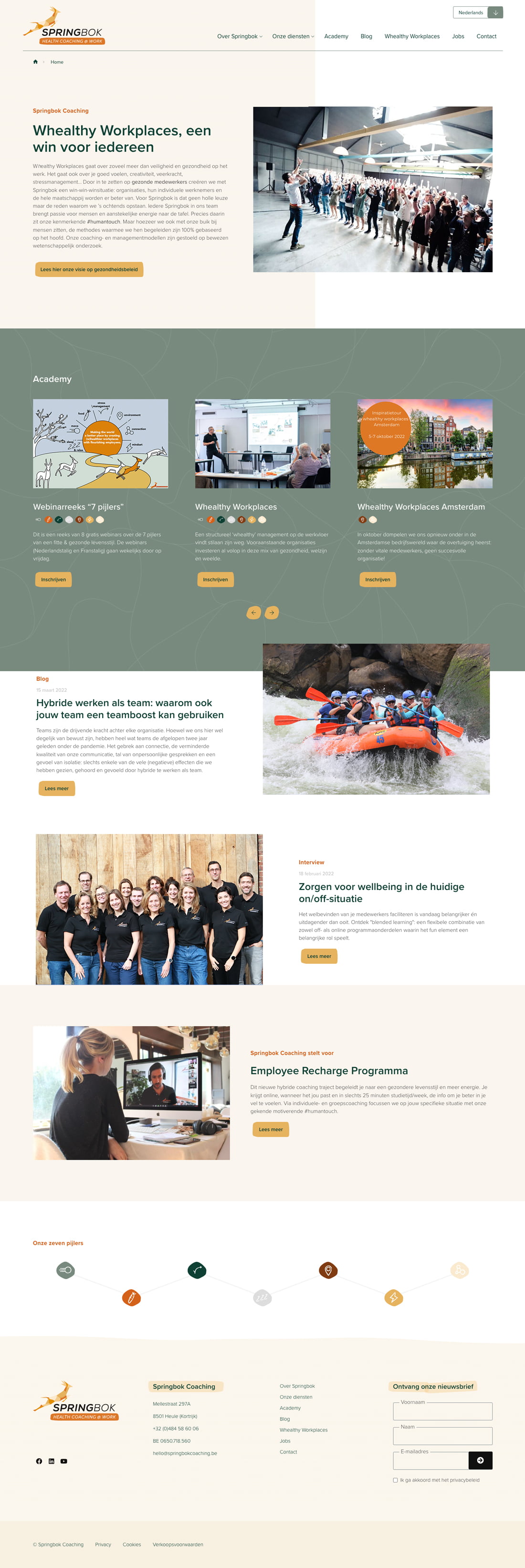 Website voor Springbok Coaching | Showcase | Galia